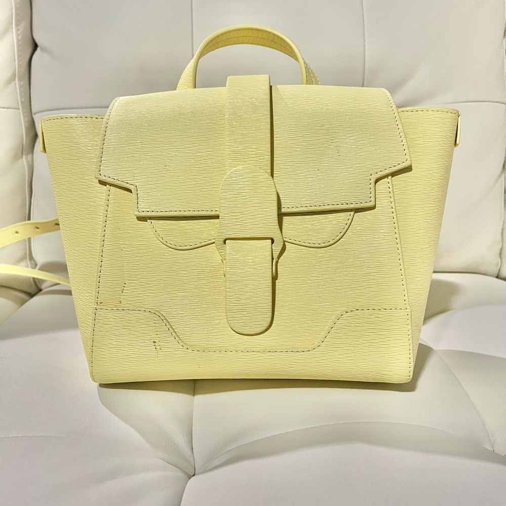 Senreve Mini Maestra Crossbody Backpack - Gem